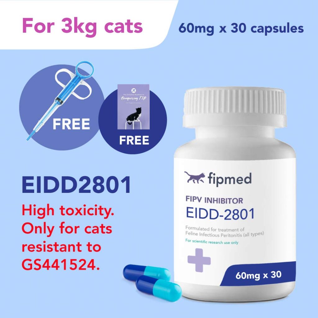 FipMed - Traitement de la PIF chez le chat - FipMed